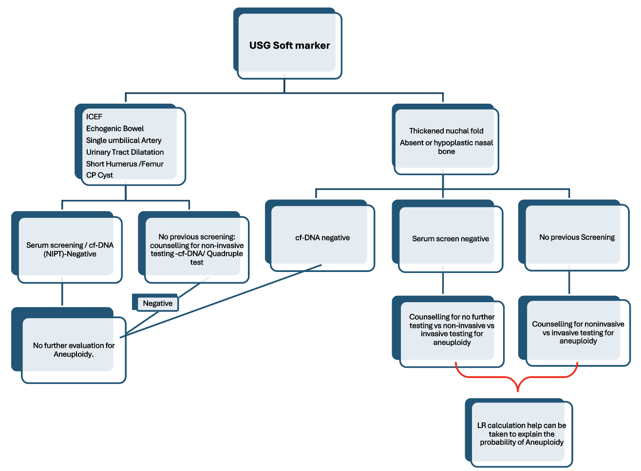 What do soft markers mean in antenatal ultrasound? – Fetal Cardiac Care