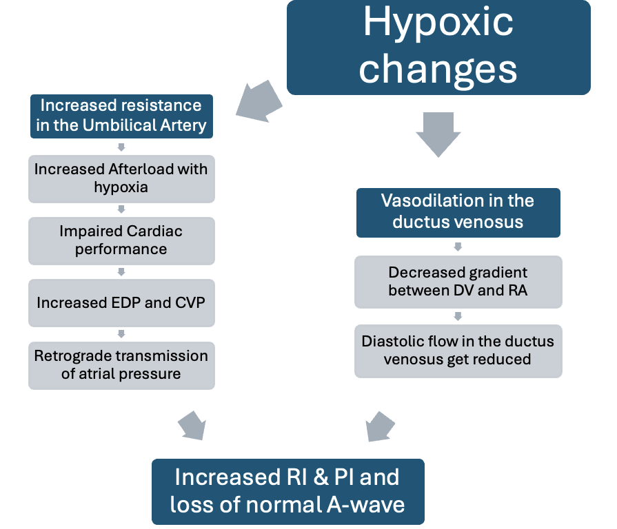 Ductus Venosus Waveform Analysis: A Critical Tool for Assessing Fetal ...