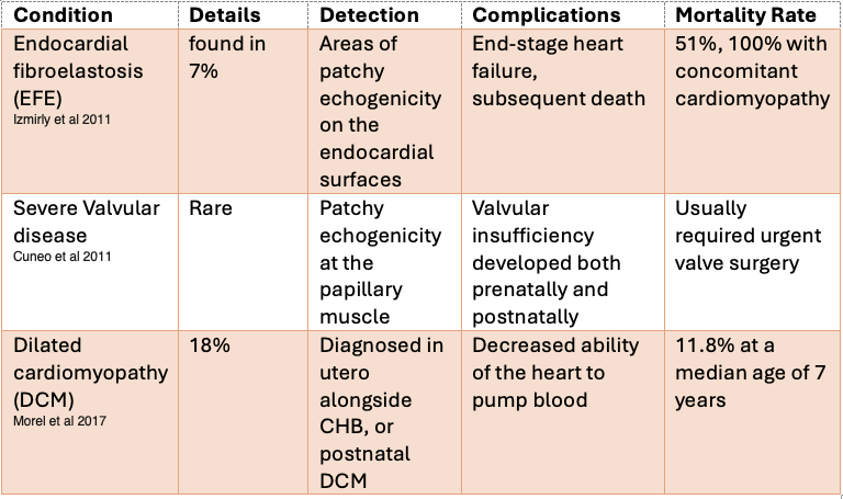 Fetal CHB and Maternal Autoimmunity: From Risk to Response – Fetal ...