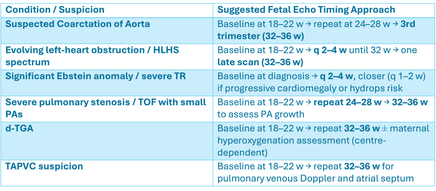 When to Perform Fetal Echocardiography: Practical Guidance for Clinical ...