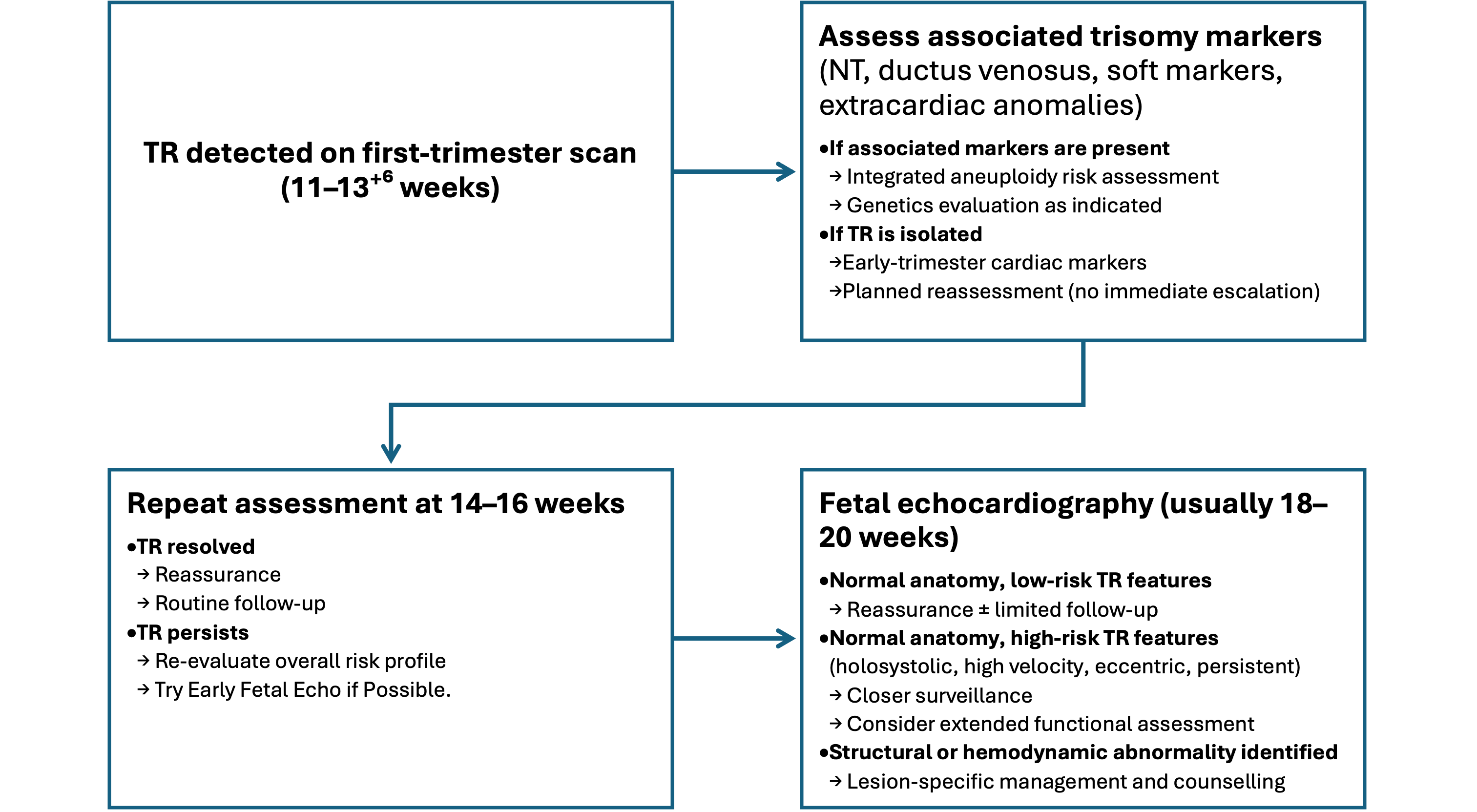 Isolated Tricuspid Regurgitation in the Fetus: From Screening to Fetal ...