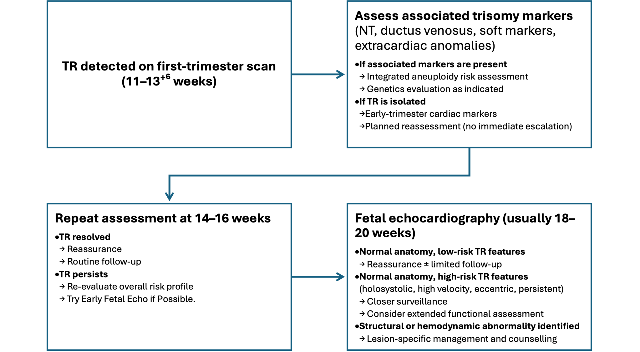 Isolated Tricuspid Regurgitation in the Fetus: From Screening to Fetal ...