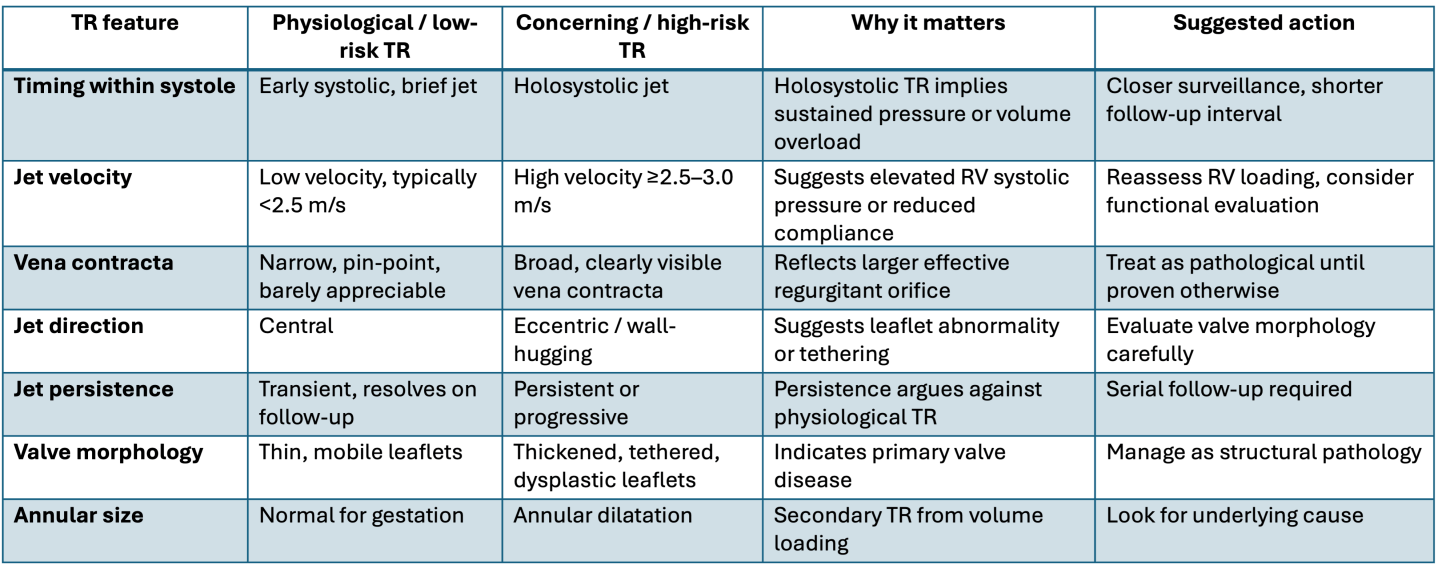 Isolated Tricuspid Regurgitation in the Fetus: From Screening to Fetal ...